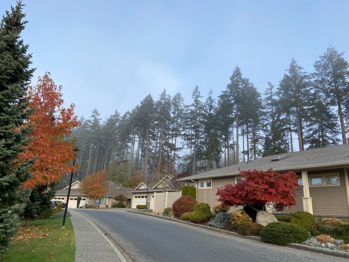 カナダの西と東はやっぱり違っていた｜カナダで時々お抹茶（西島わけい）