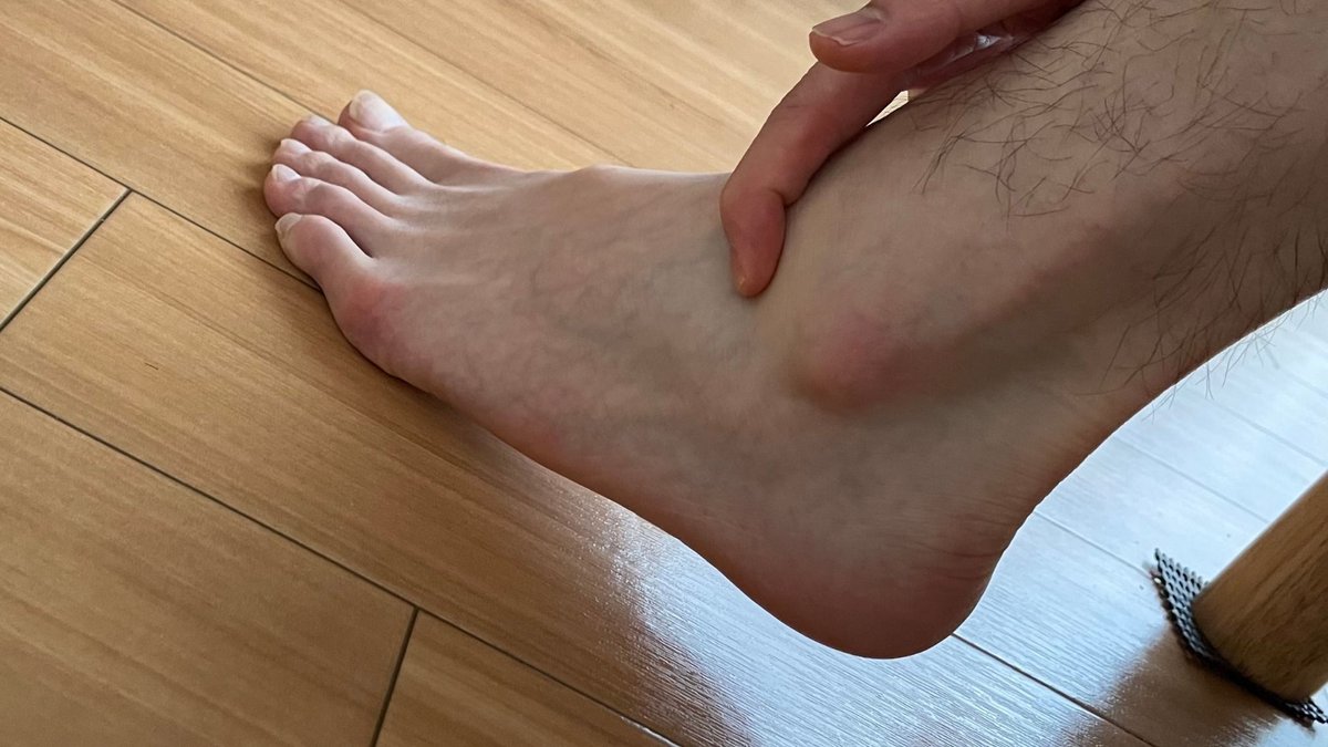 【新人療法士向け】足部の骨・触診の復習part2｜理学療法メモ