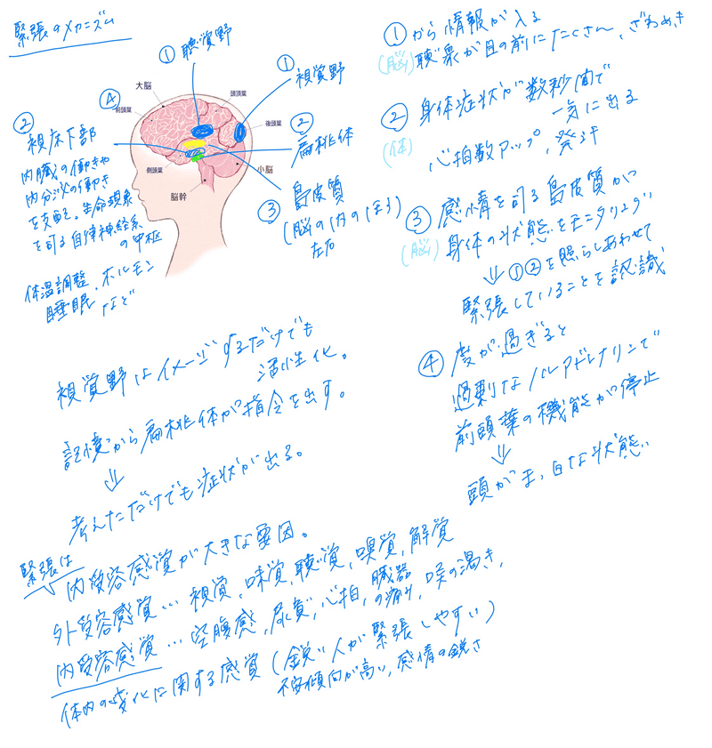 ウェブデザインに活用できる脳科学・心理学（はじめに）｜Chitose Kato