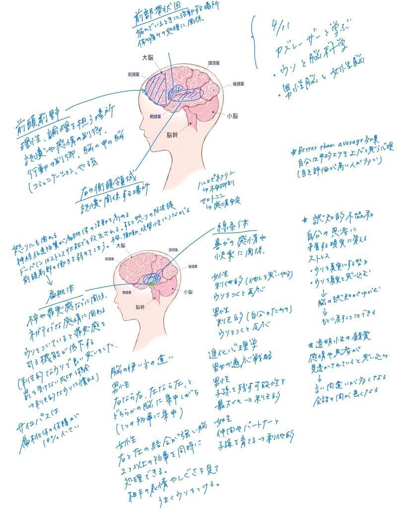 ウェブデザインに活用できる脳科学・心理学（はじめに）｜Chitose Kato