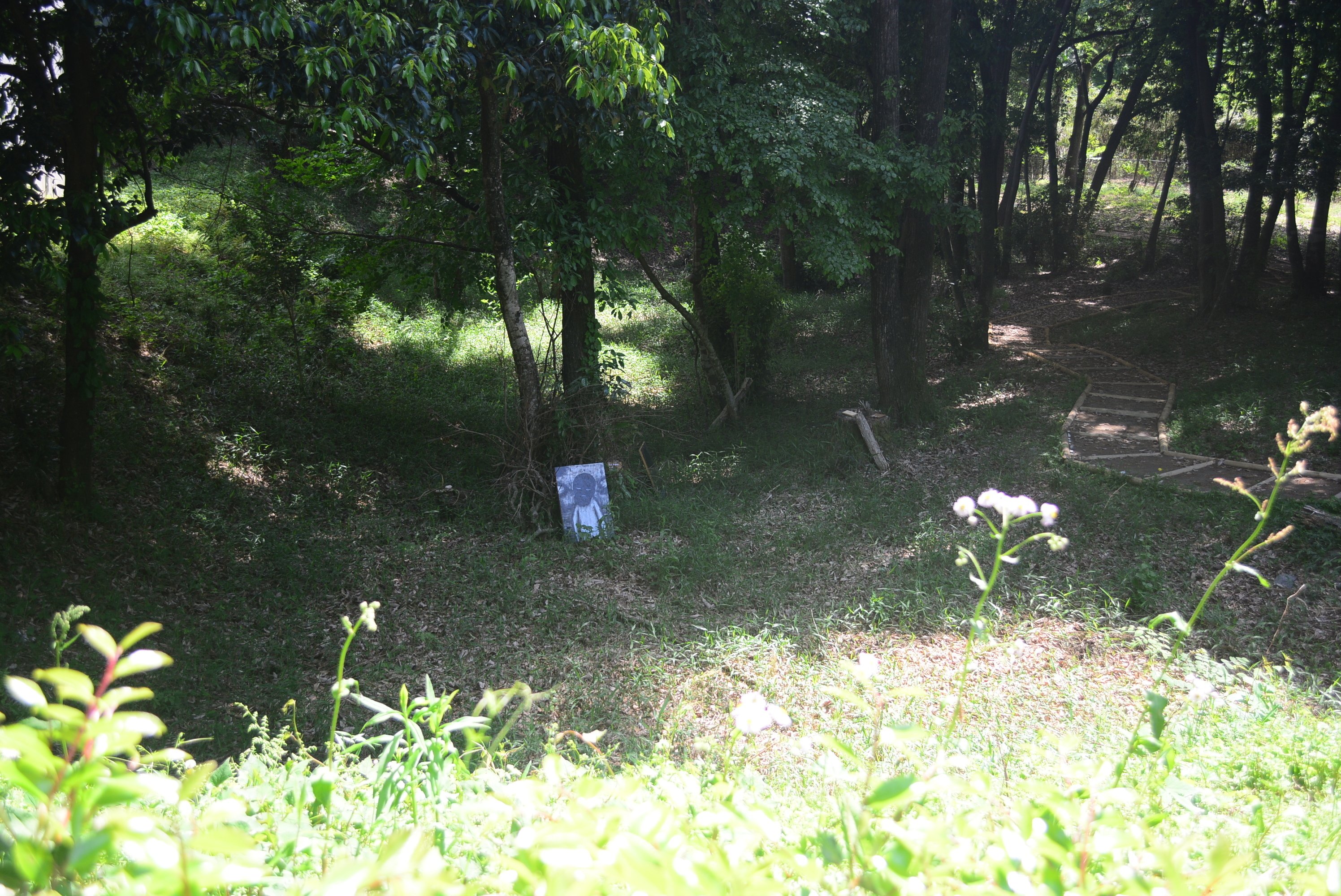 みのかもannual2023｜Naoto Maruyama/丸山ナオト