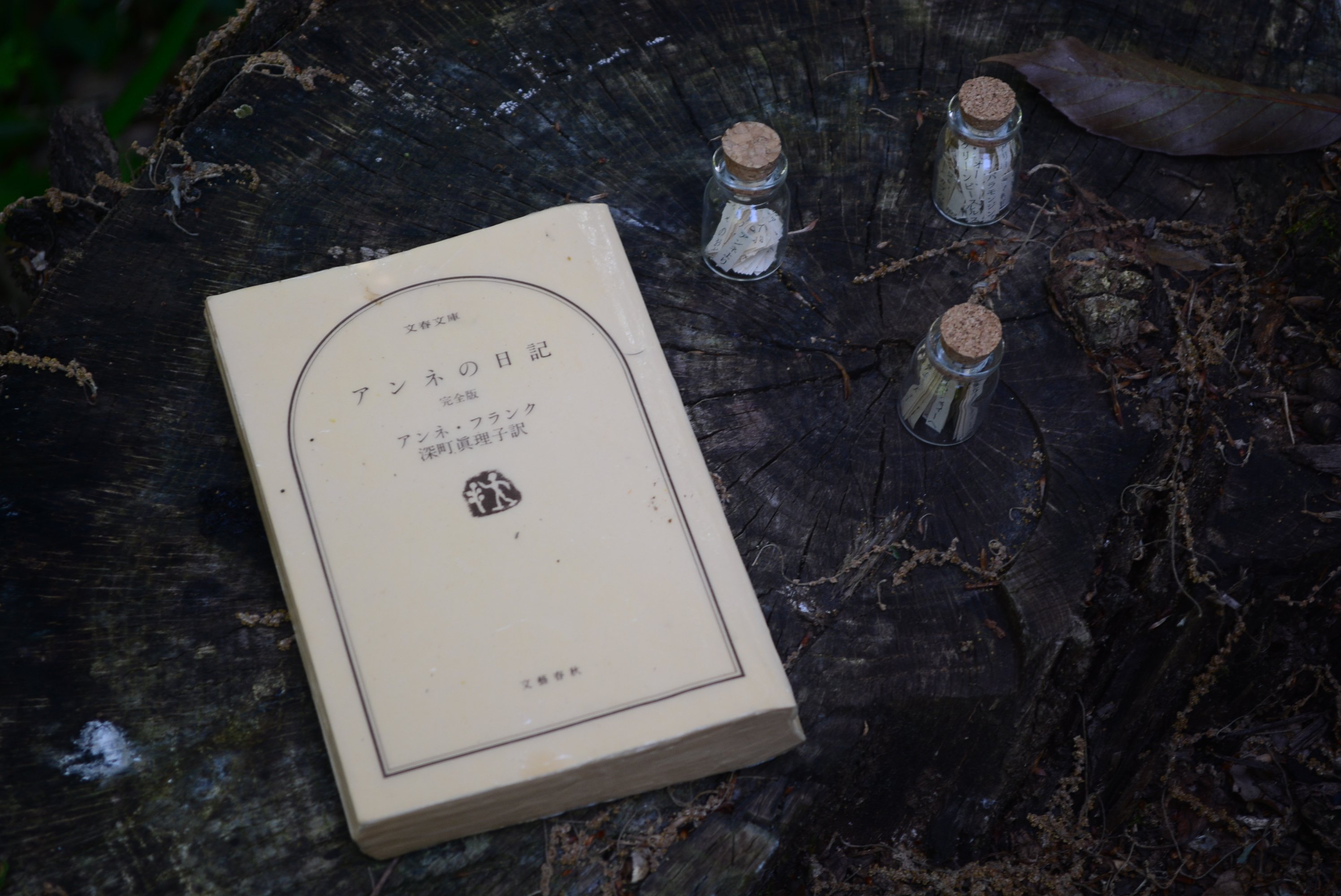 みのかもannual2023｜Naoto Maruyama/丸山ナオト