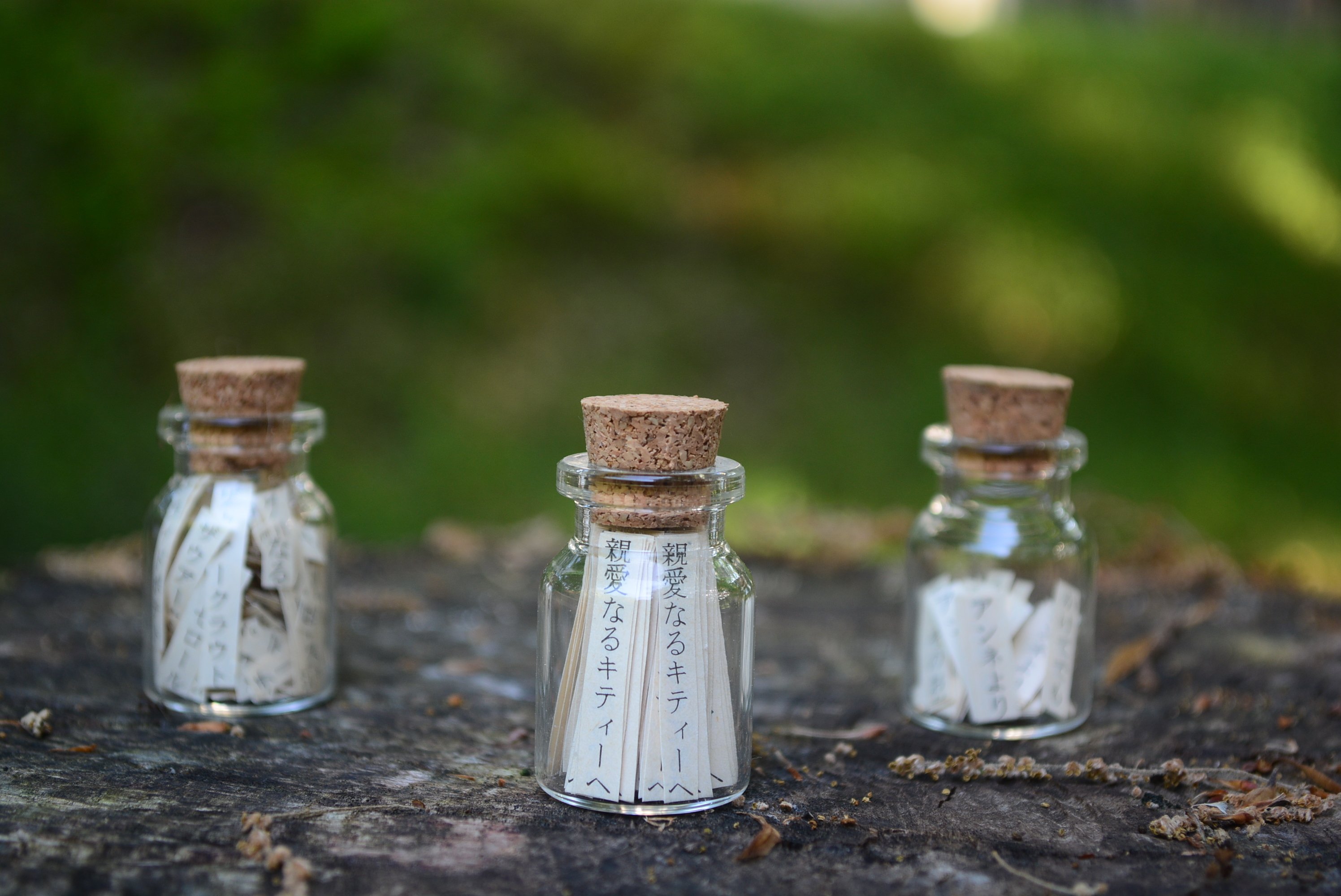 みのかもannual2023｜Naoto Maruyama/丸山ナオト