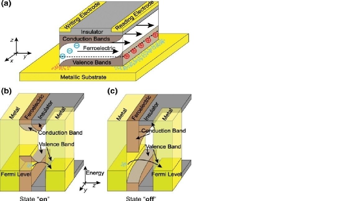 Current Status on ReRAM & FTJ｜toruhara