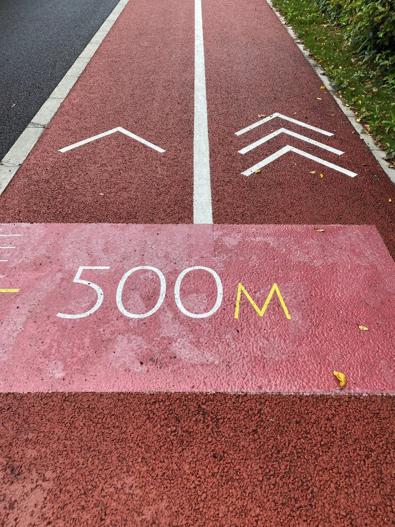 道路標示に励まされた日：疾風に勁草（けいそう）を知る｜ao 50代からのミライ