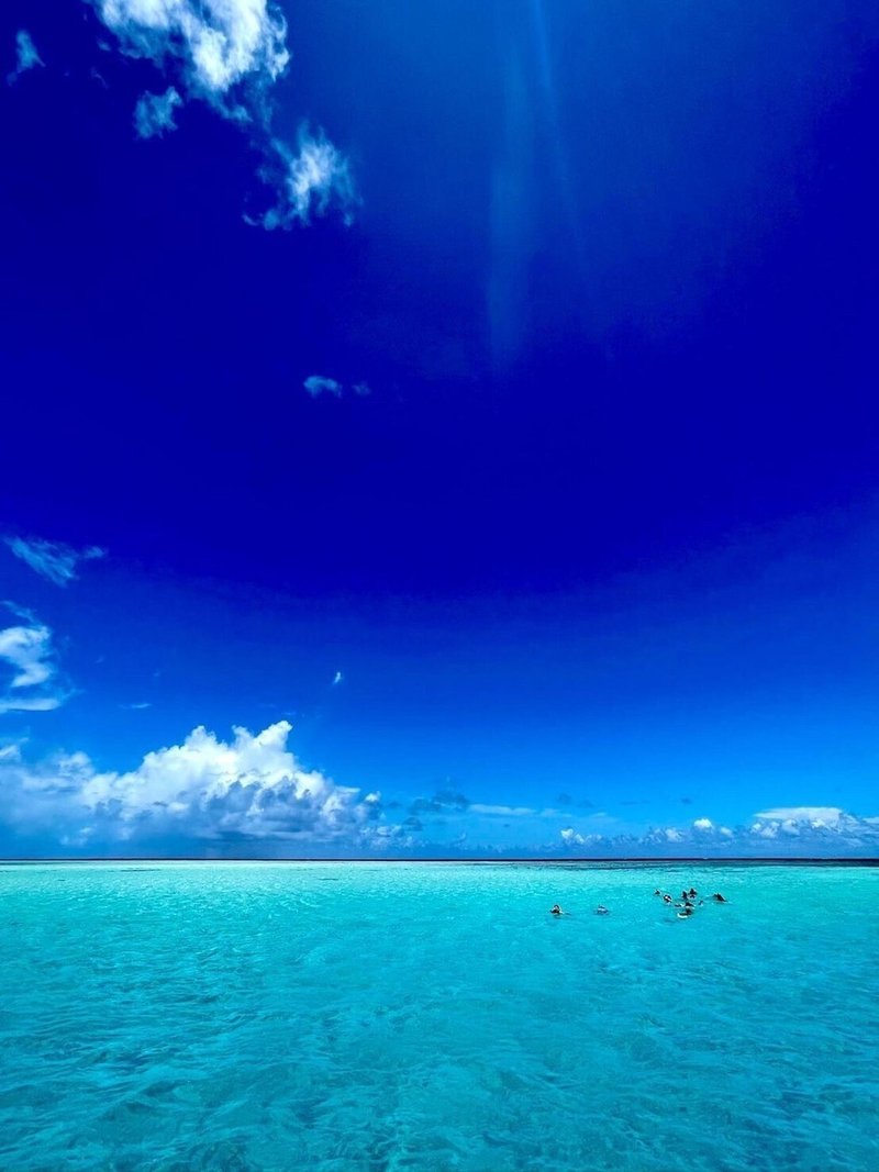 永年の夢が実現。｜web制作・動画制作／LANDGARAGE