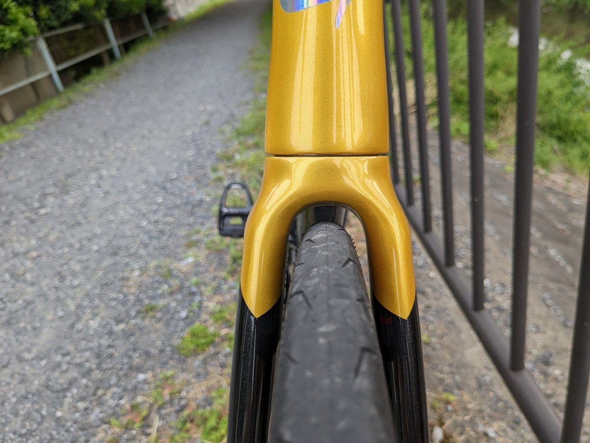 【レビュー】コスパ最強の台湾メーカー「GUSTO」の新型DURO EVO｜ iwamoto yuuma(ゆゆ)