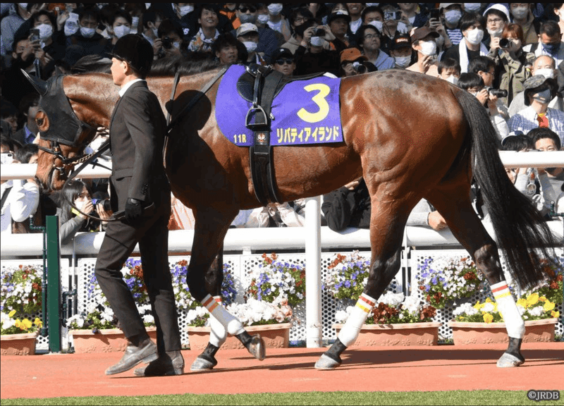 5/21（日）東京11R 優駿牝馬 赤木の予想｜JRDB 競馬アラカルト