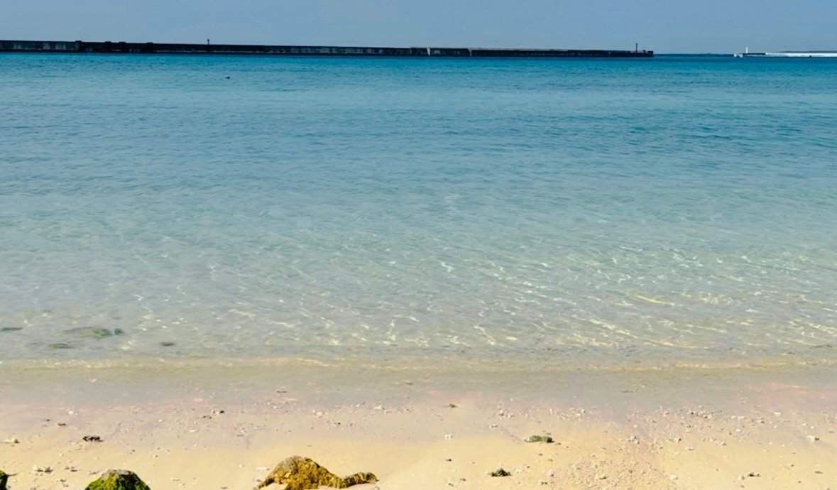 32歳、大学院生になりました。そして、母になる。｜安藤 美玖｜ICORE inc.