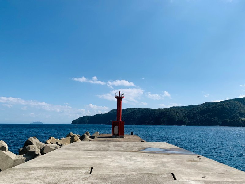 《釣り場調査録》ベラの刺身が美味すぎた話/日本海・蒲入漁港｜KTS LAB.