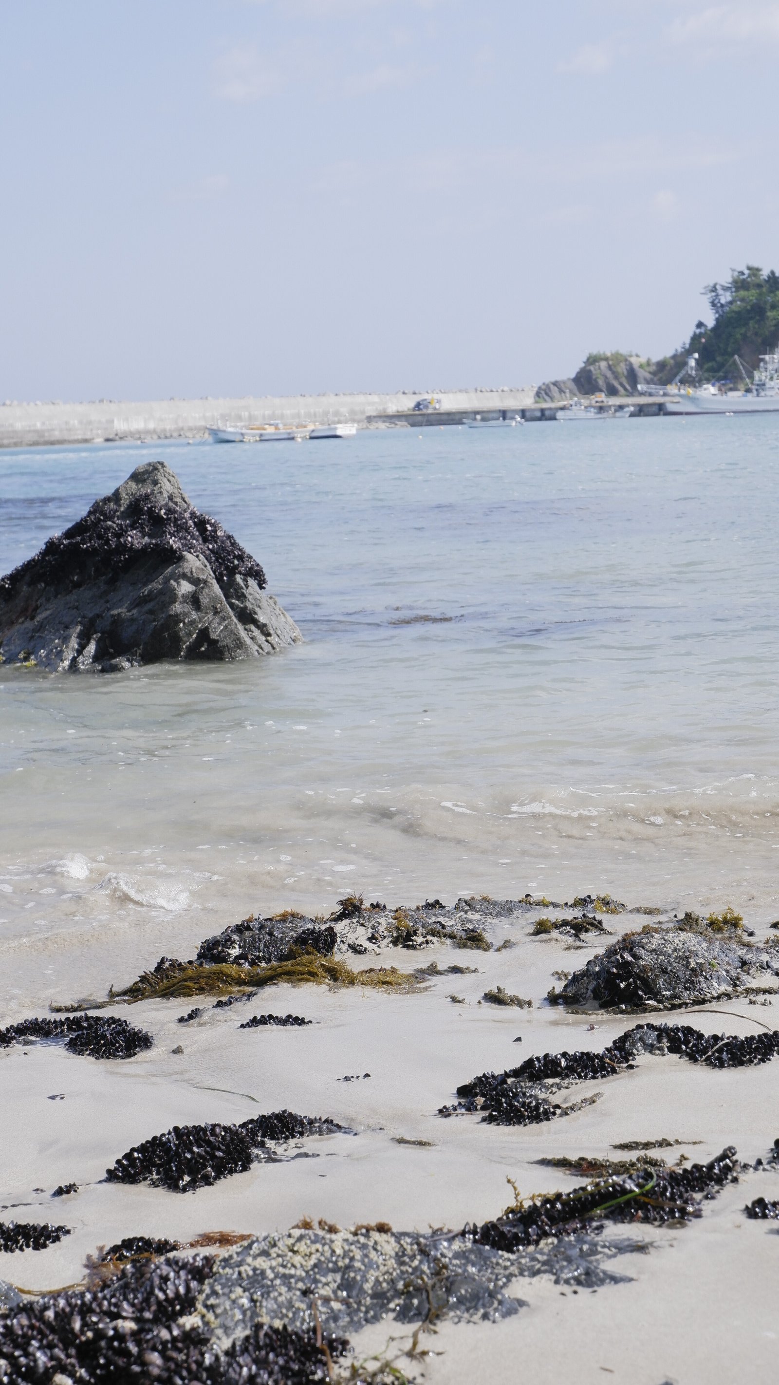 だから「一眼レフ」から離れられない！｜Koki Miyamoto