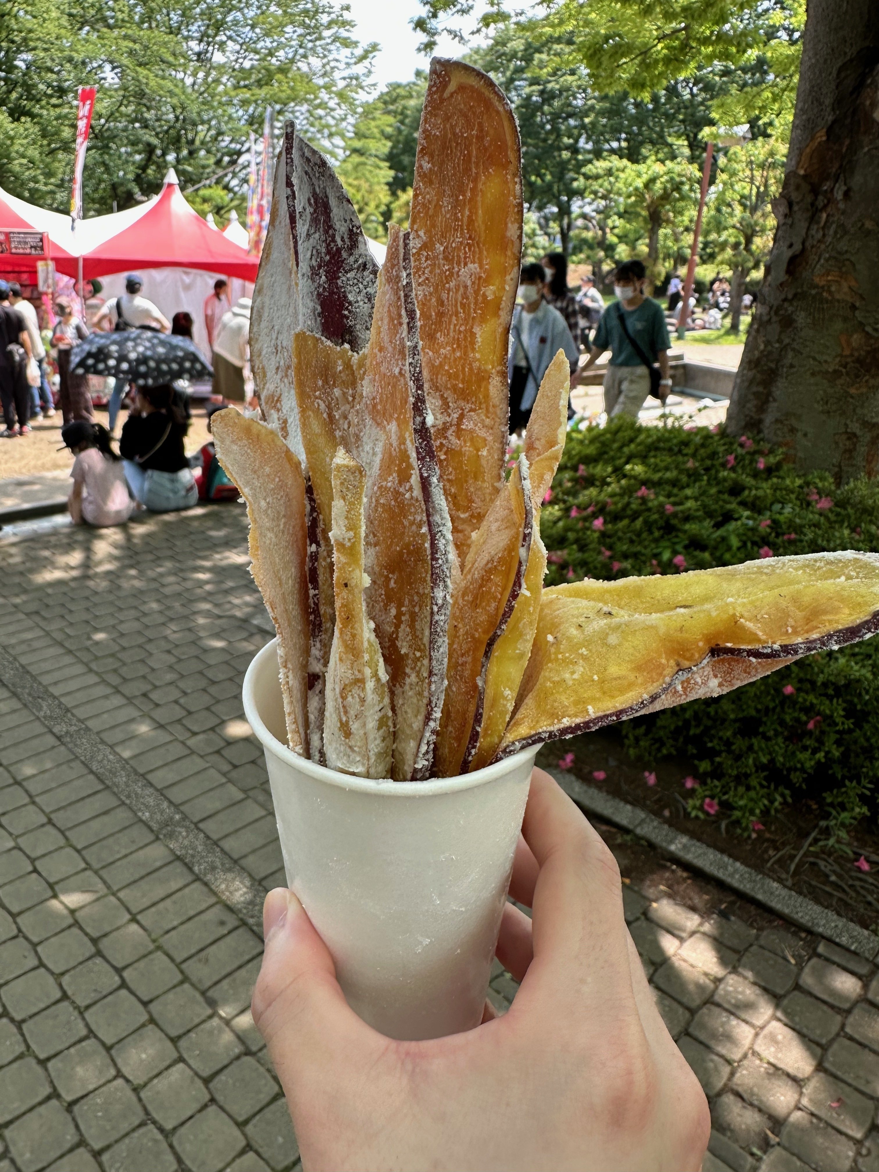 こういうの滾るよね｜OFFICE NAMEKO