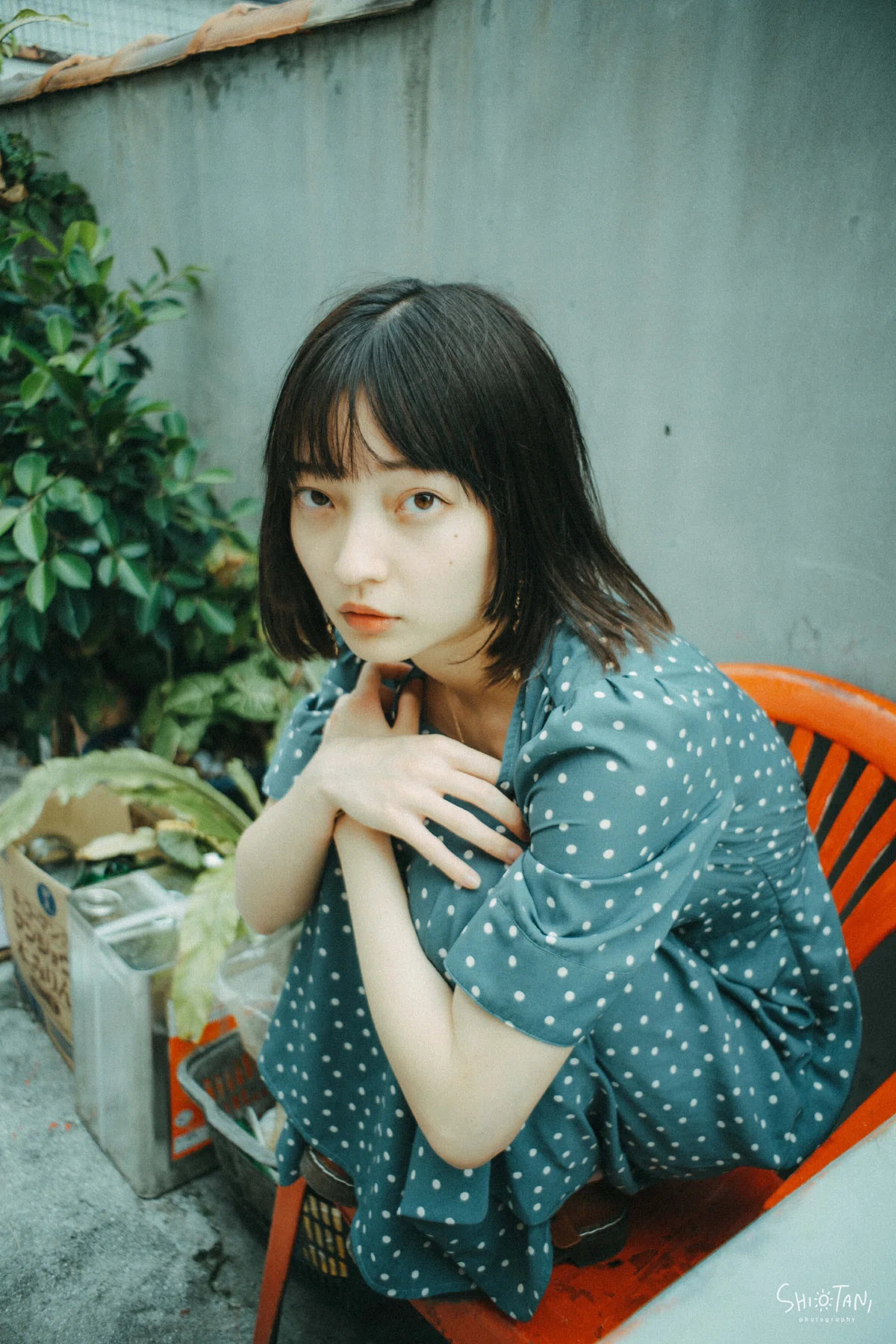 Soft and Fluffy Wide-Angle Lens: Super Takumar 28mm F3.5 Review Part 1 ...