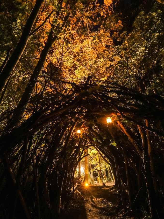 野りたいときに、営る。札幌市内某所にあるニッチでディープな秘密の野営地｜ YAV｜ExCAMP | 穴場キャンプ場情報発信