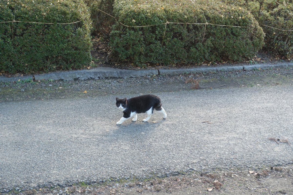 盛岡を食べて歩いて、最後に飲む 国内旅行記・岩手編Vol.6｜Tsuchinoco