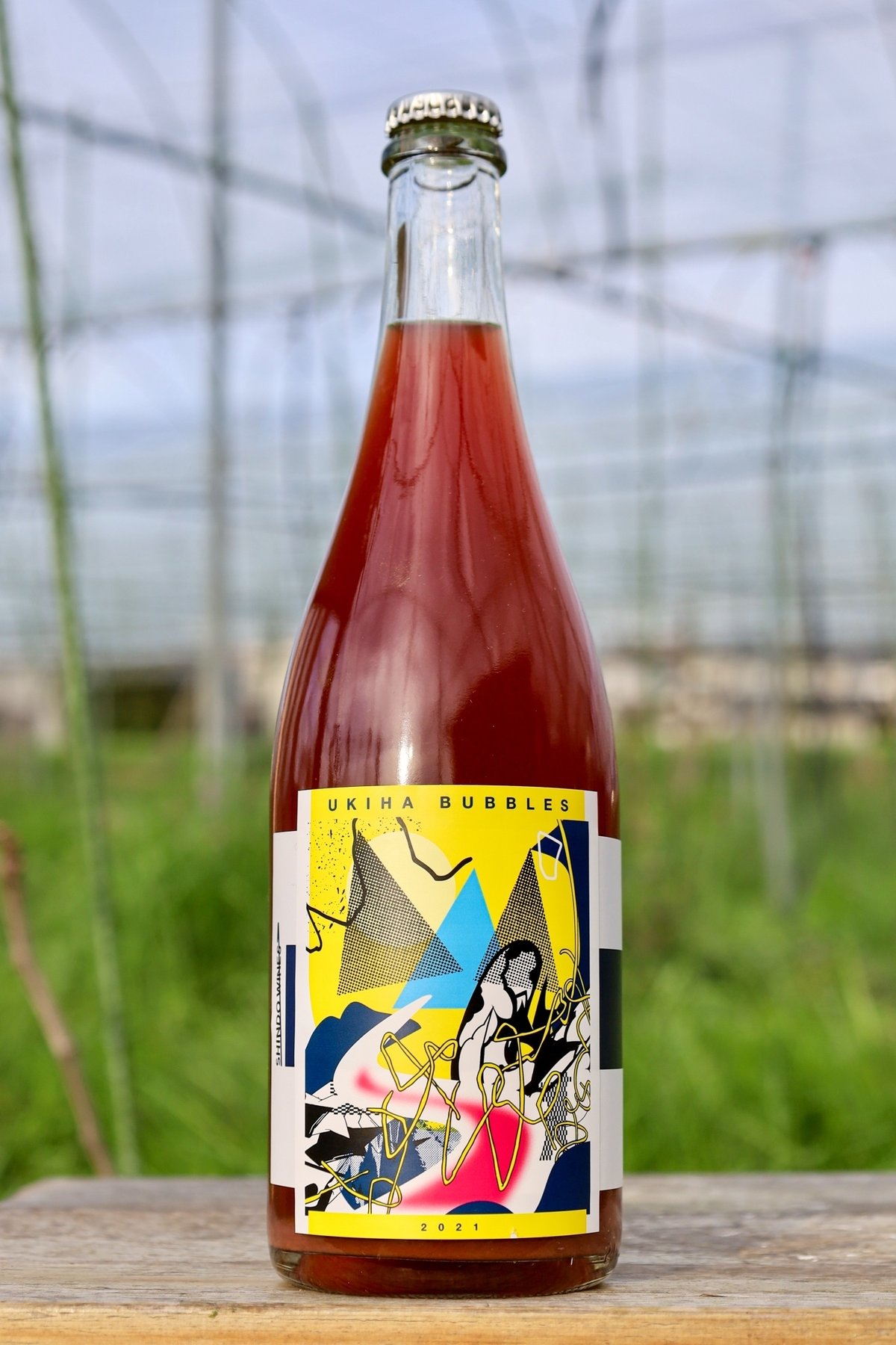 豪雨の収穫から、初めてのワインができるまで｜阪本開 | SHINDO WINES