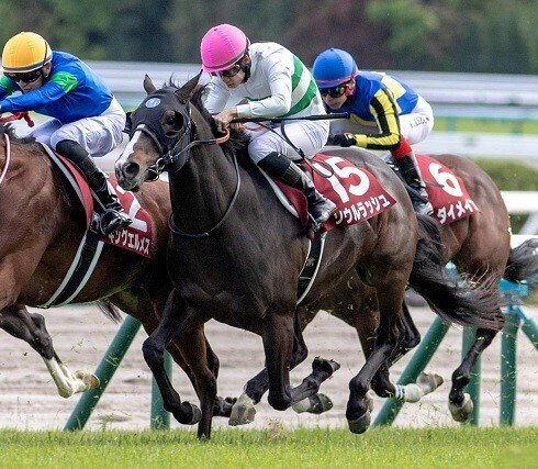 【安田記念（G1）】～予想篇｜Haya