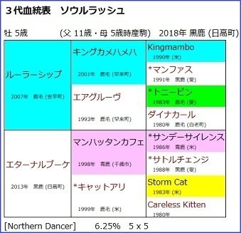 【安田記念（G1）】～予想篇｜Haya