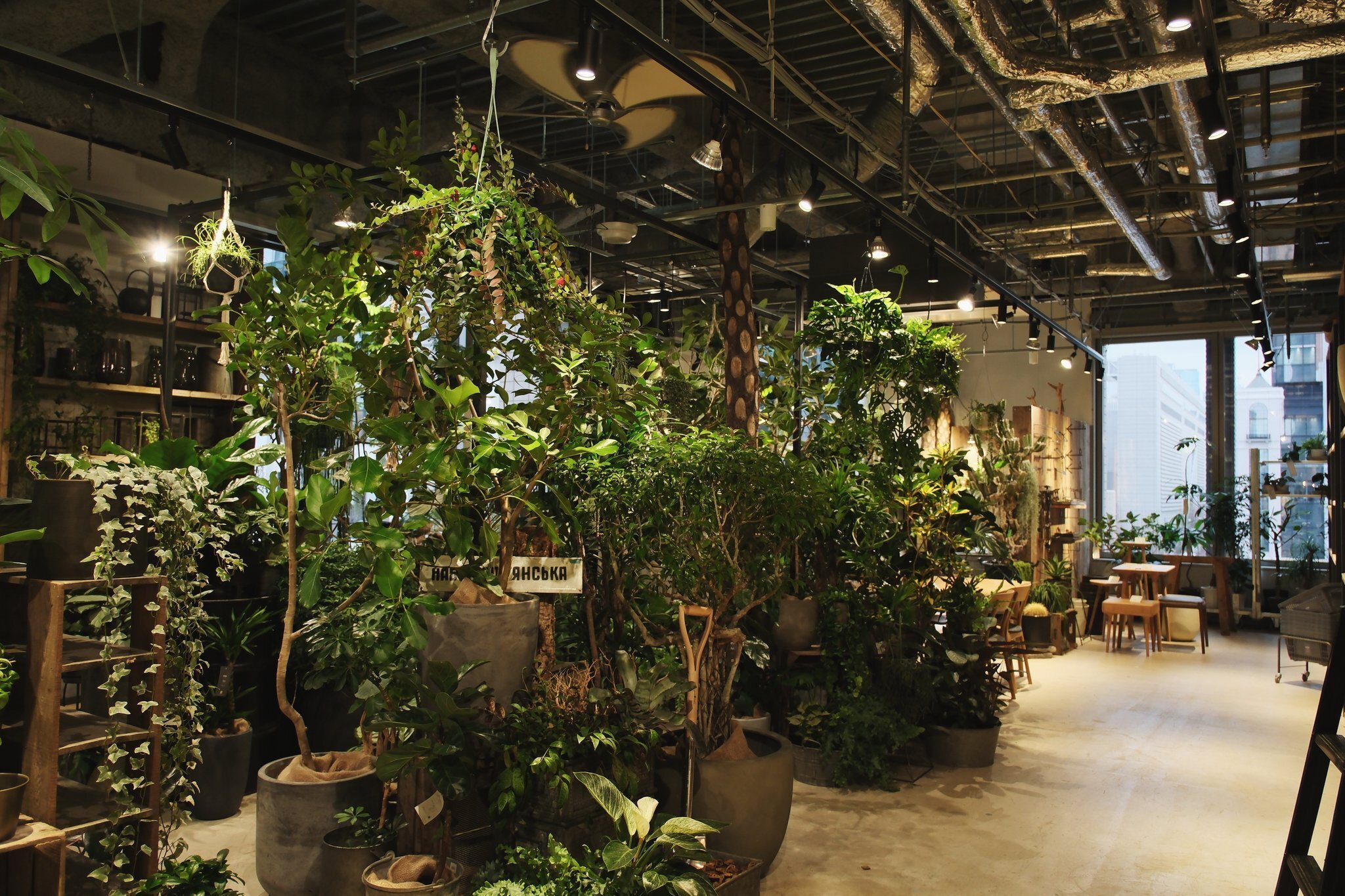 今日はどんな「植物」と出会えるかな！｜Koki/ Video creator