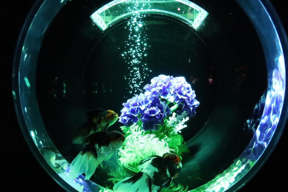 RubyでEXIFの情報を読み取る｜えっぐらす