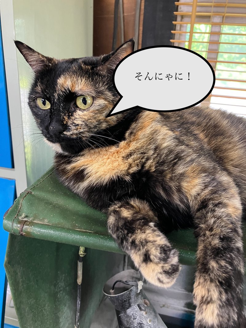 人脈なし、コネなしで香水ブランドを作る難しさ｜yusuke masaki