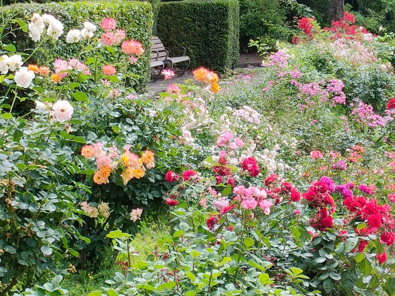 真面目な私のnote｜saku