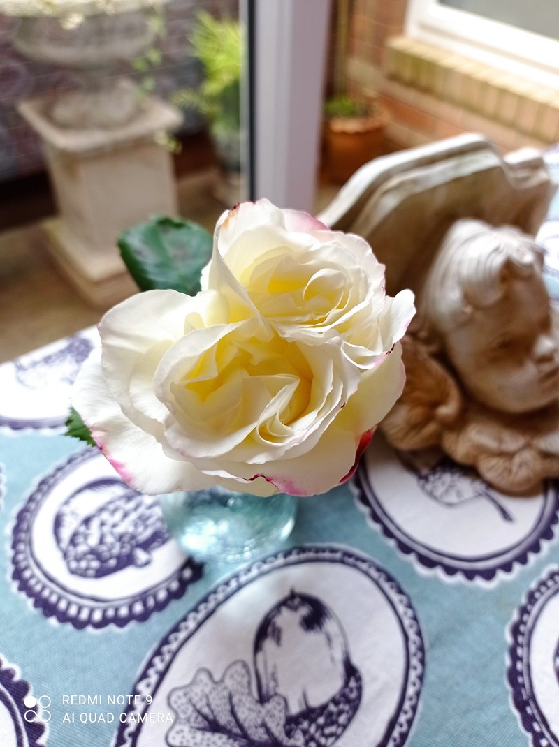 人生が花開くために必要な〇〇｜Ikumi Bowles(ボウルズ郁美）