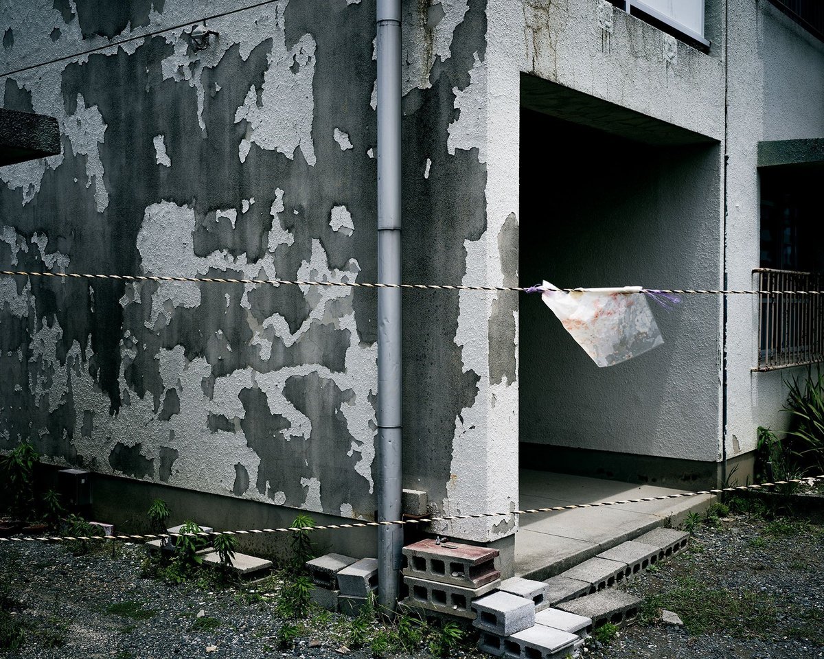 花壇に水を撒くような：Anizine｜ワタナベアニ