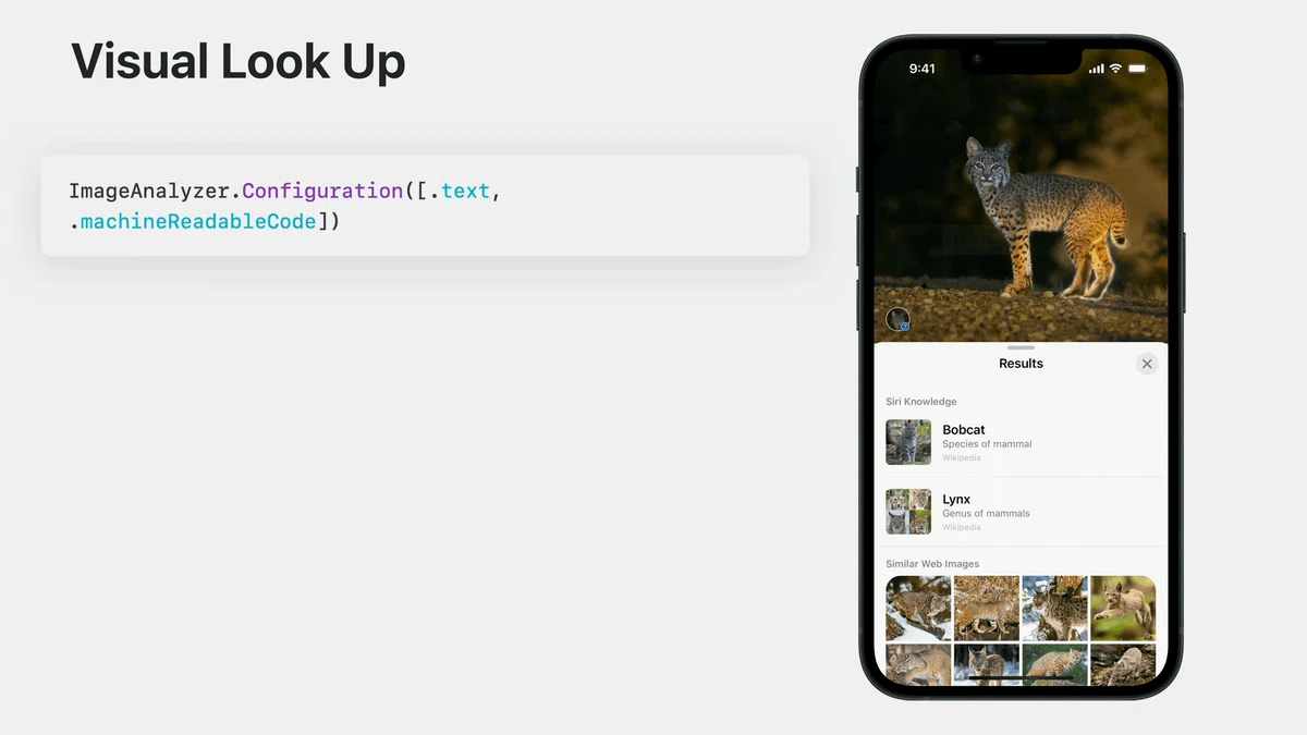 [iOS 17] Visual Look Upの実力を試す #WWDC23｜shu223