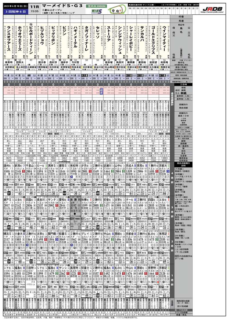 新ウェブレーシングペーパー(特別登録版)【6月17日～6月18日】｜JRDB 競馬アラカルト