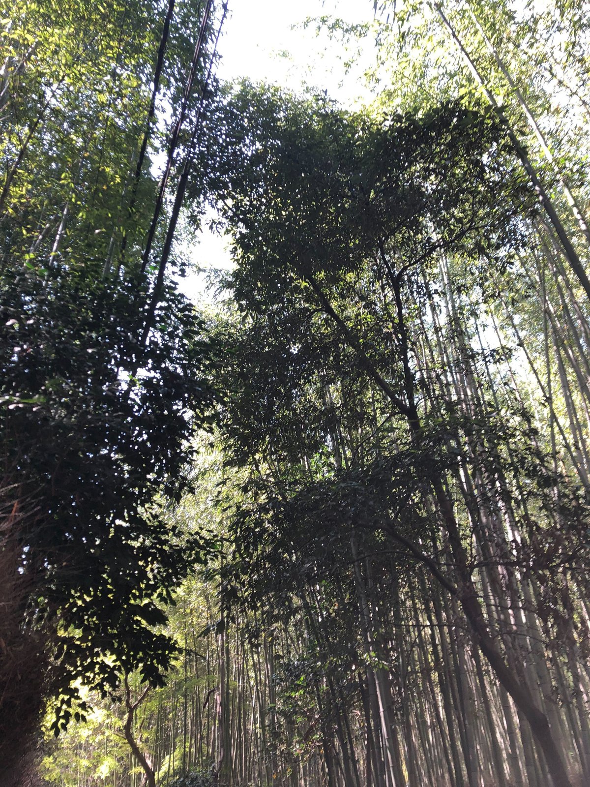 ワクワク - BEAU LABO 第13期 ディレクター紹介 vol.07 定兼萌子 - Inside BEAU｜Inside BEAU