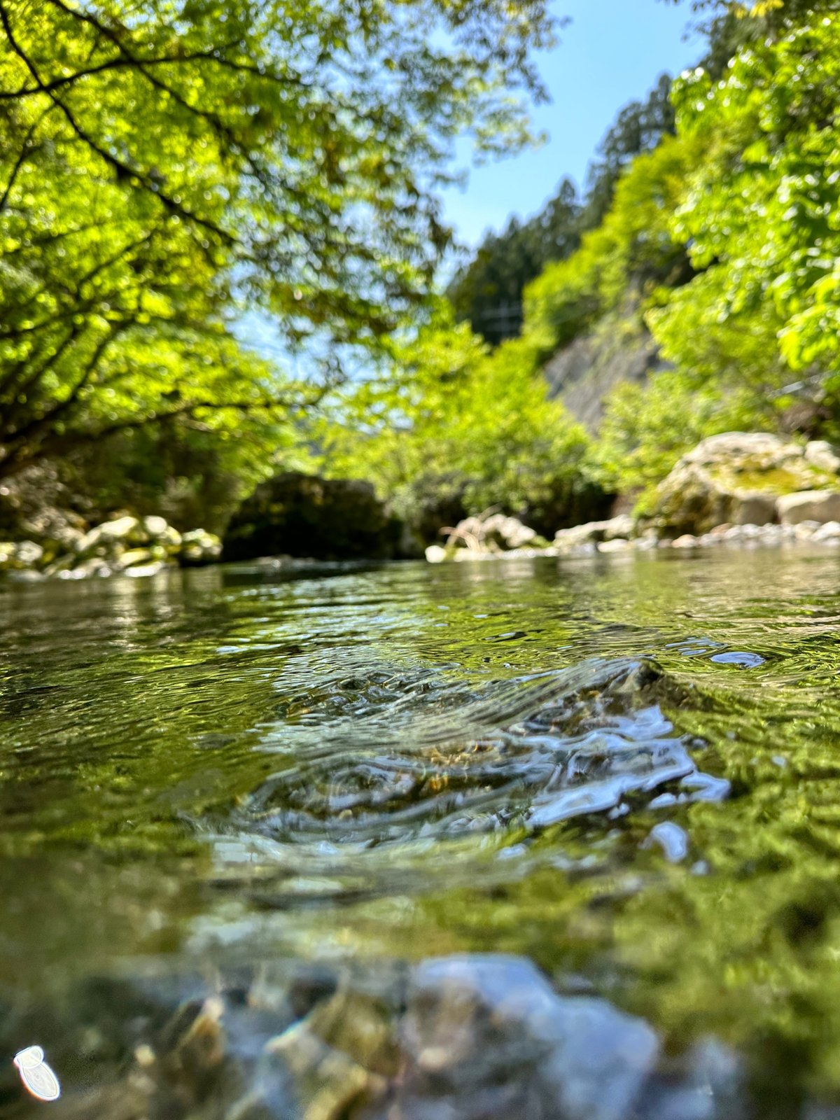 「目標」のない世界｜Chie coco