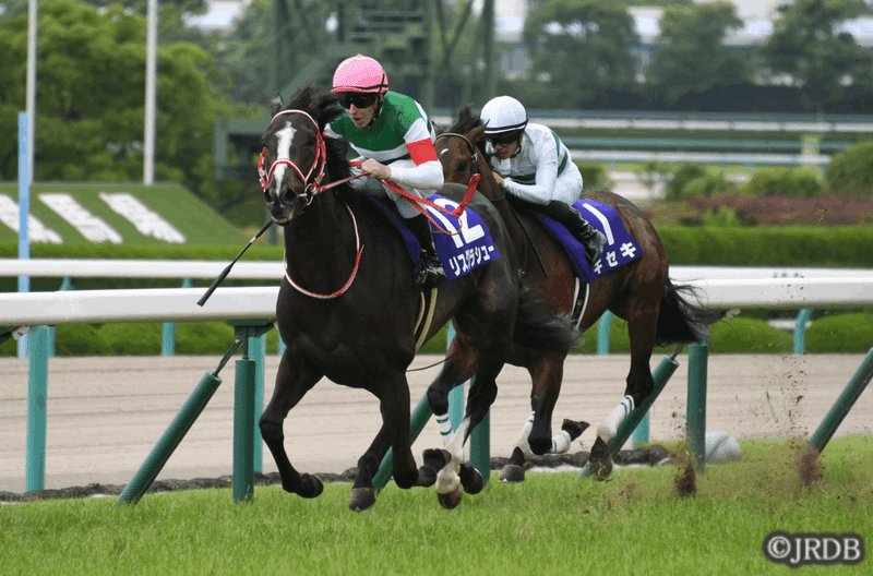 2023宝塚記念 過去5年傾向 （外厩・指数・パドック）｜JRDB 競馬アラカルト