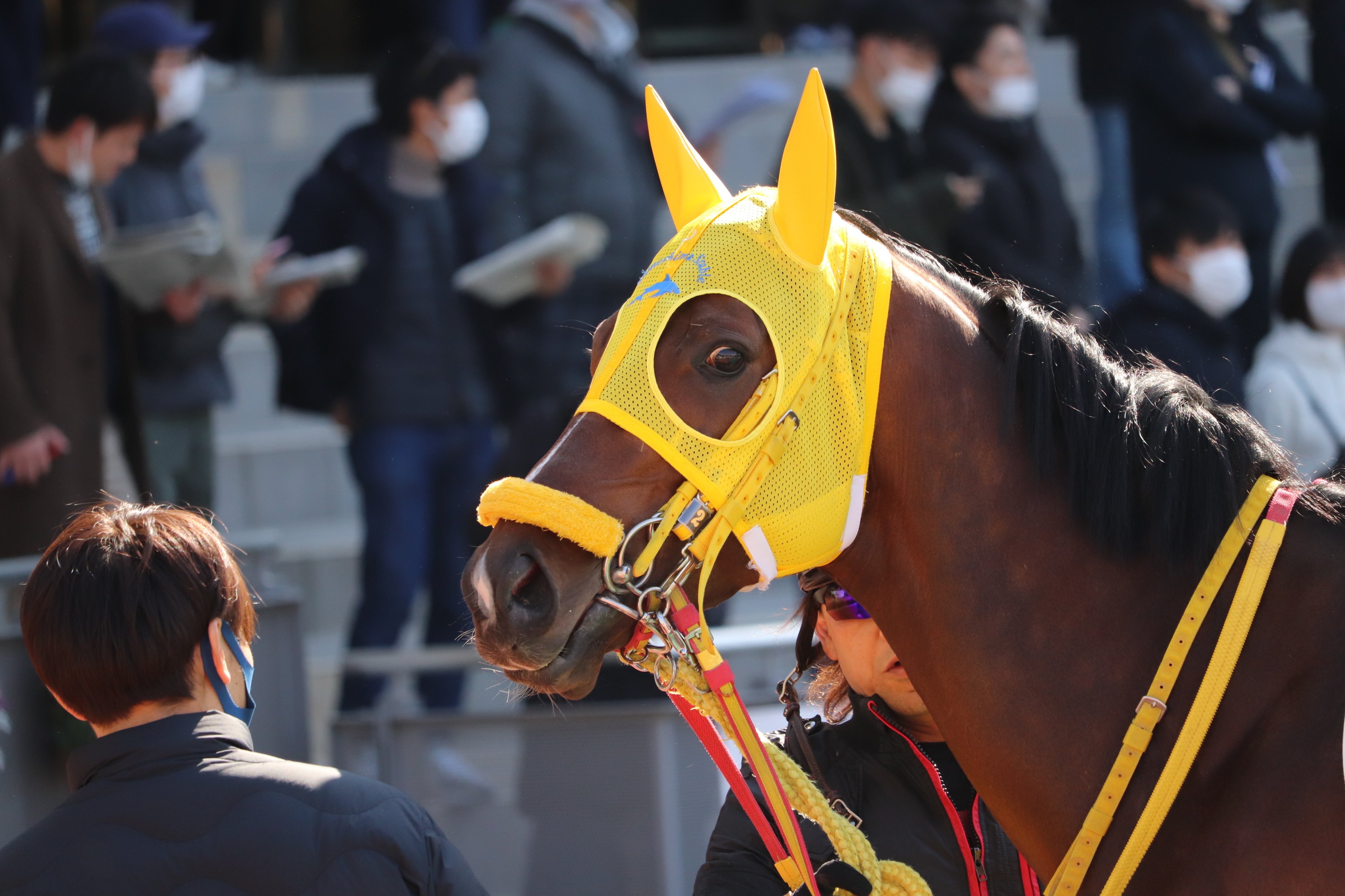 20230204中京／リトルミム・イーヴイ・パレフォーコン｜千惠