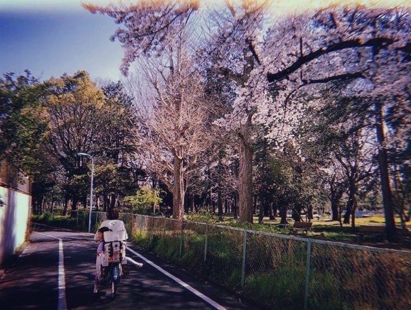 【平日随筆】「ねえみて、公園が夜になったよ」|丘田ミイ子