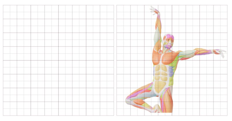 【見る力とは】ドローイングや模写やっている時の頭の中と練習（追記6/27）｜Rule_ppp