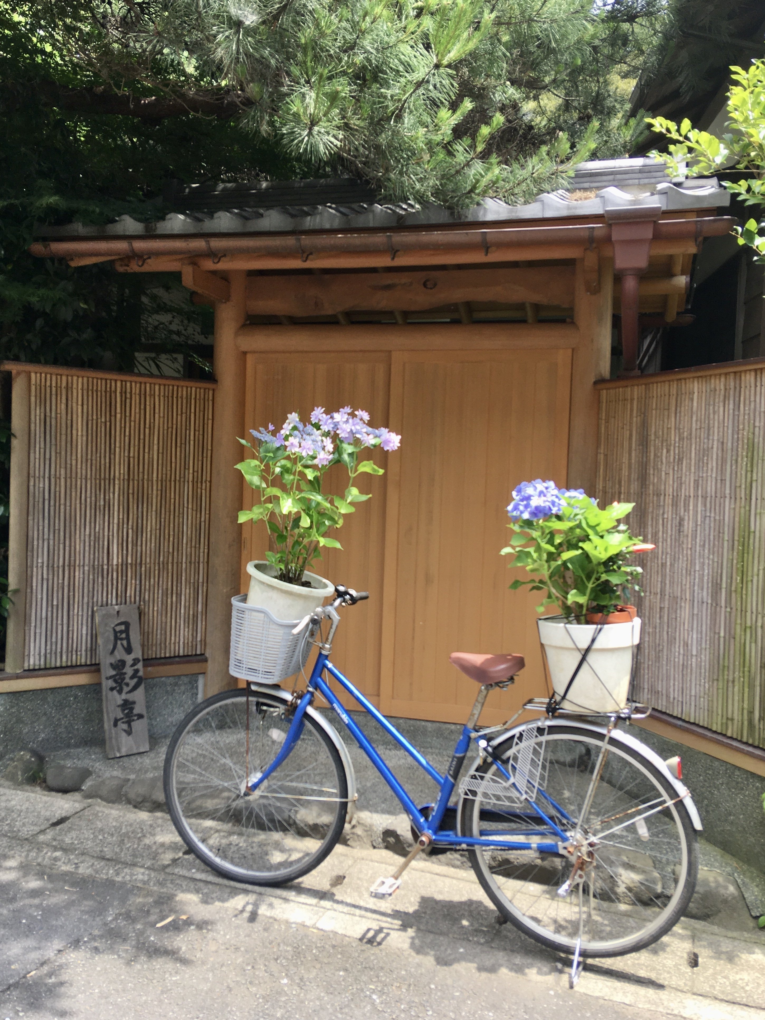 月影亭〜玄関_水無月(6.21)｜Hirohiko Terada