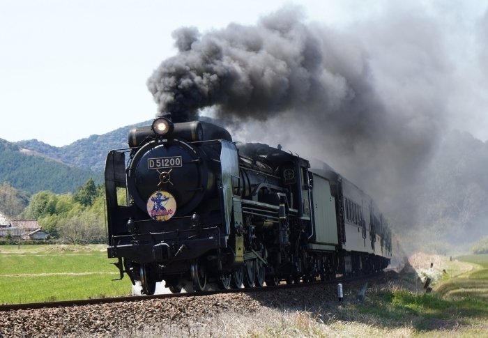 SL Yamaguchi｜たぬきの親子