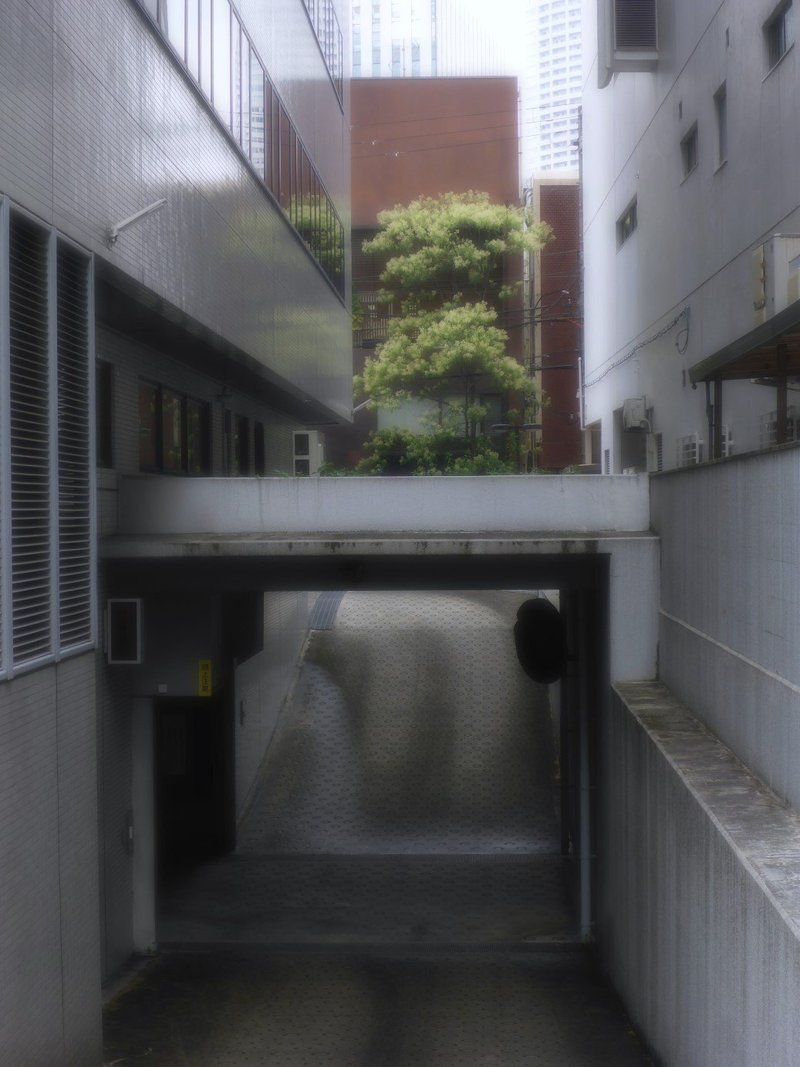 カードリーダーを｜takahiro mori