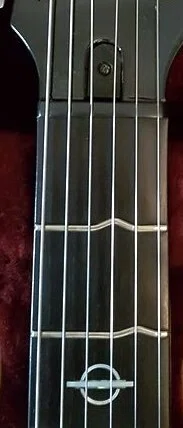 BUZZ FEITEN TUNING SYSTEMとフレット楽器の音程について｜Rockfish's Workbench