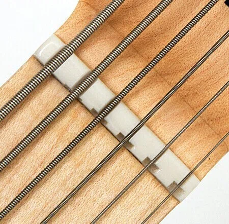 BUZZ FEITEN TUNING SYSTEMとフレット楽器の音程について｜Rockfish's Workbench