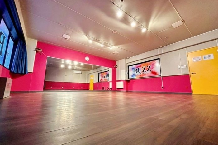 [15人~19名] 大型スタジオ 10選 -スタジオBUZZ-｜STUDIO BUZZ -レンタルダンススタジオ-