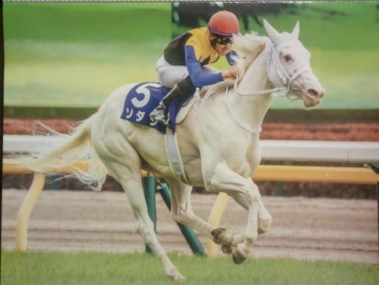 CBC賞・ラジオNIKKEI賞2023サイン理論考察｜JRAカレンダー【7月】のターフビジョンに写っている馬の正体が判明、その超強力サインホースに注目！｜ゴッドアイ斎藤（斎藤司 ）の【サイン ...