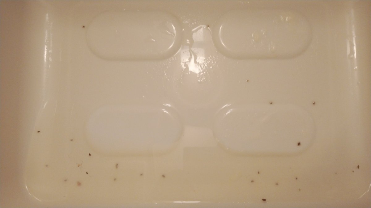 気温が高くなる季節の悩み｜Yossy Sato