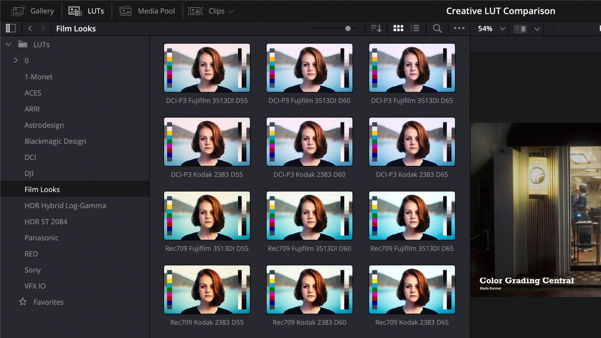 話題の Creative LUT まとめ｜UMU TOKYO