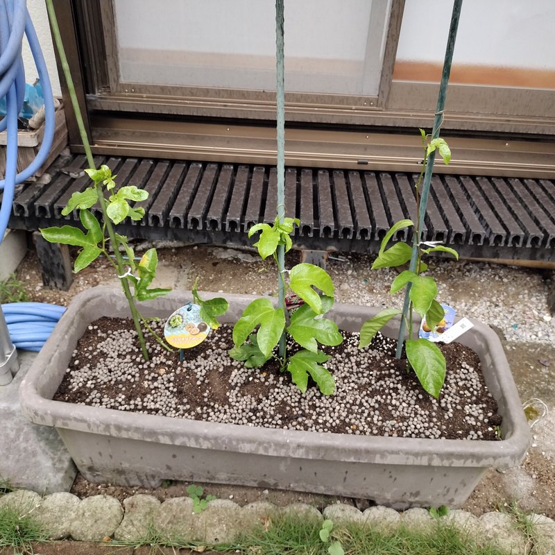 変化が｜🥚RIKO*MAKO🐣