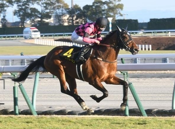 【CBC賞（G3）】～予想篇｜Haya