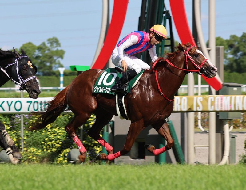 【CBC賞（G3）回顧】推奨馬スマートクラージュ3着…ヘイ!!｜Haya