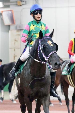 【CBC賞（G3）回顧~その先へ】血統篇｜Haya