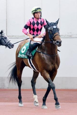 【CBC賞（G3）回顧~その先へ】血統篇｜Haya